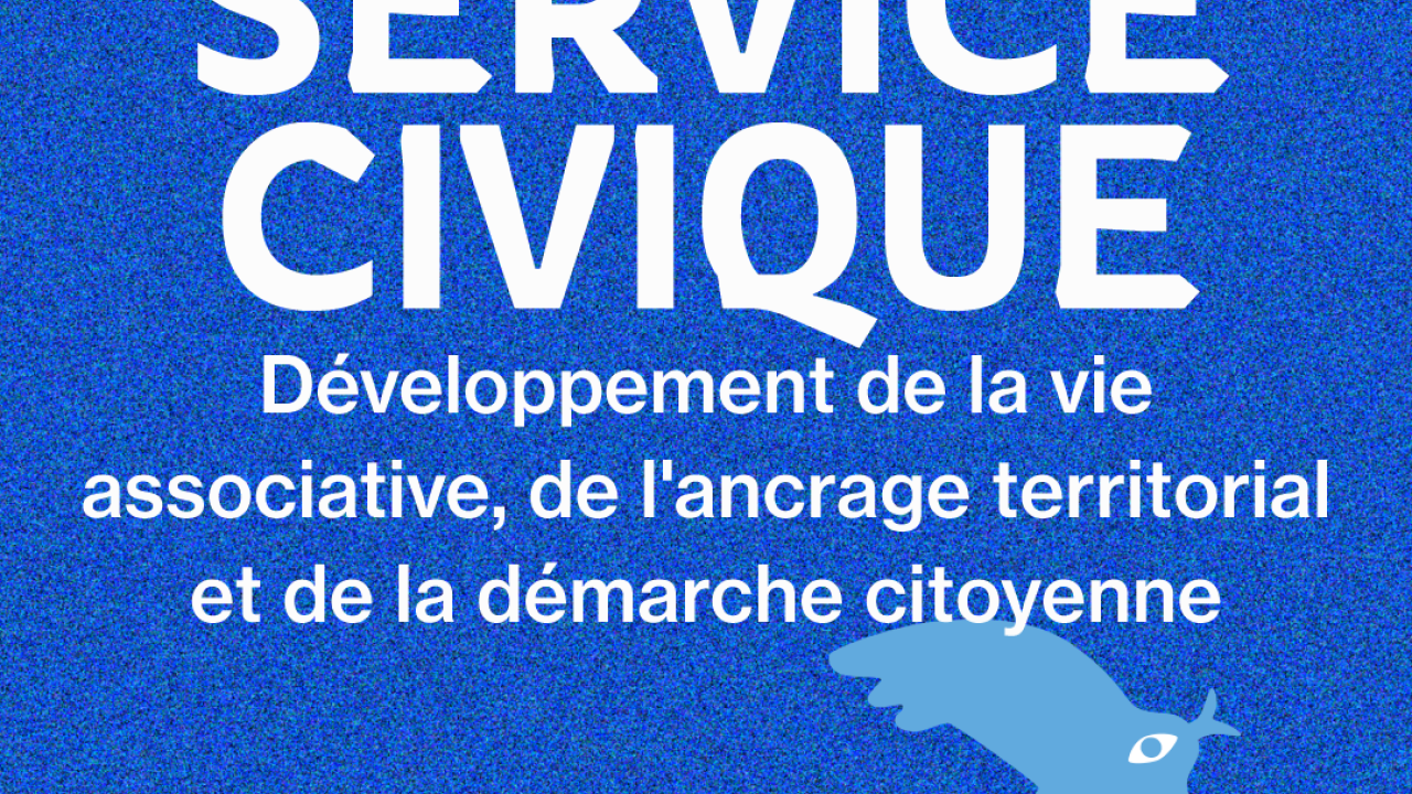 Mission de Service Civique : développement de la vie associative, de l ...